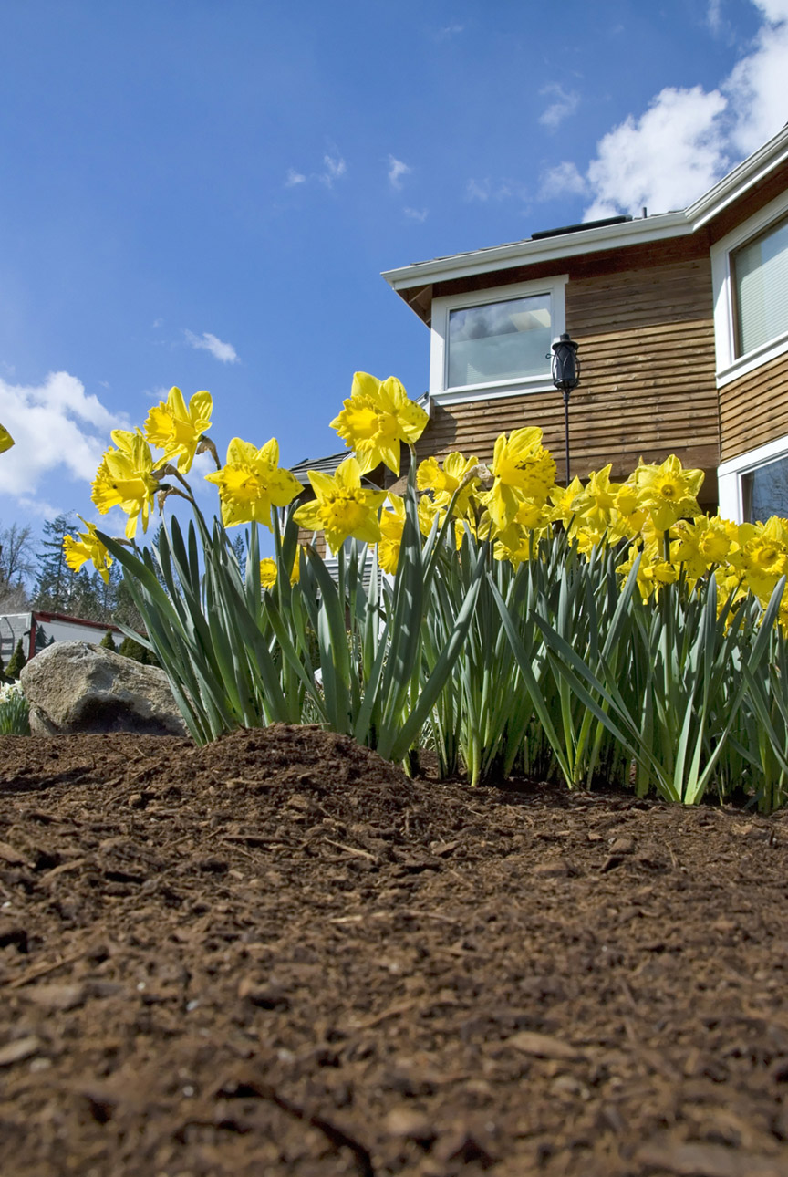 See The Results - Bark King Blower Truck Service